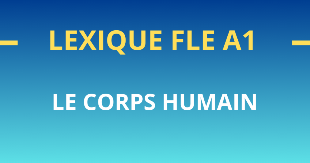 Lexique FLE : le corps humain (A1) | PDF gratuit à imprimer